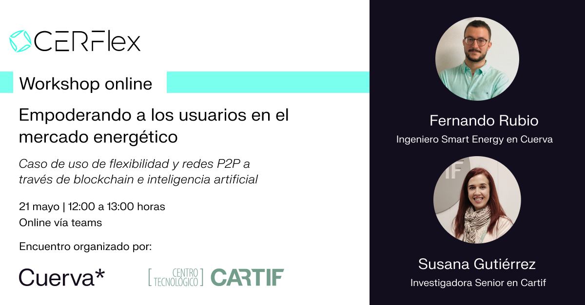 Workshop gratuito | CERFlex: Empoderando a los usuarios en el mercado ...